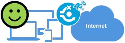 Cellular Connection for Network Resilience